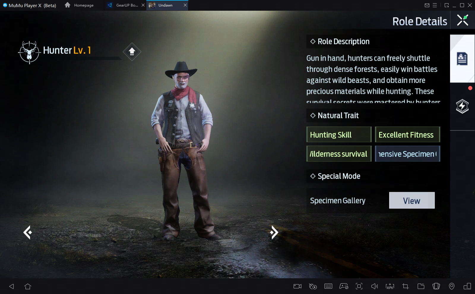 The Complete Roles Guide for Undawn